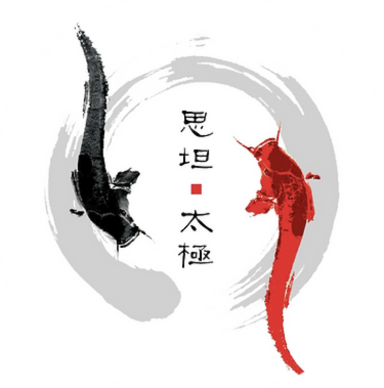 Sitan Tai Chi & Martial Arts – Wushu Adventures